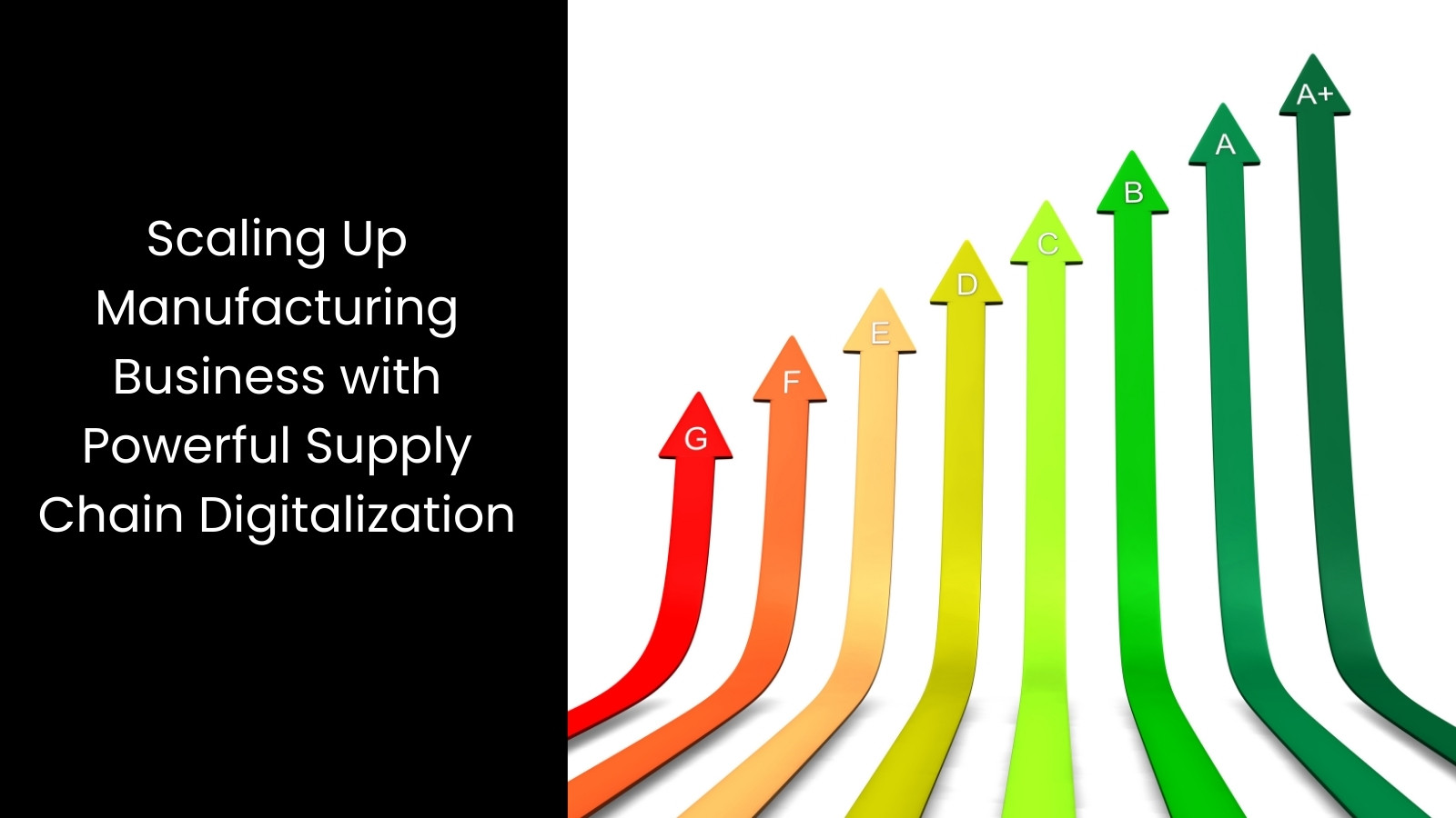 Key Benefits of Supply Chain Digitalization for Singapore - Cerexio