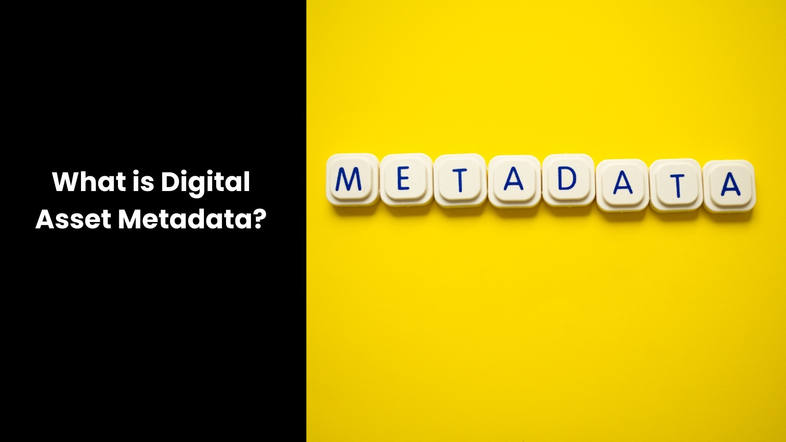 Why is Metadata Important in Digital Asset Management? - Cerexio