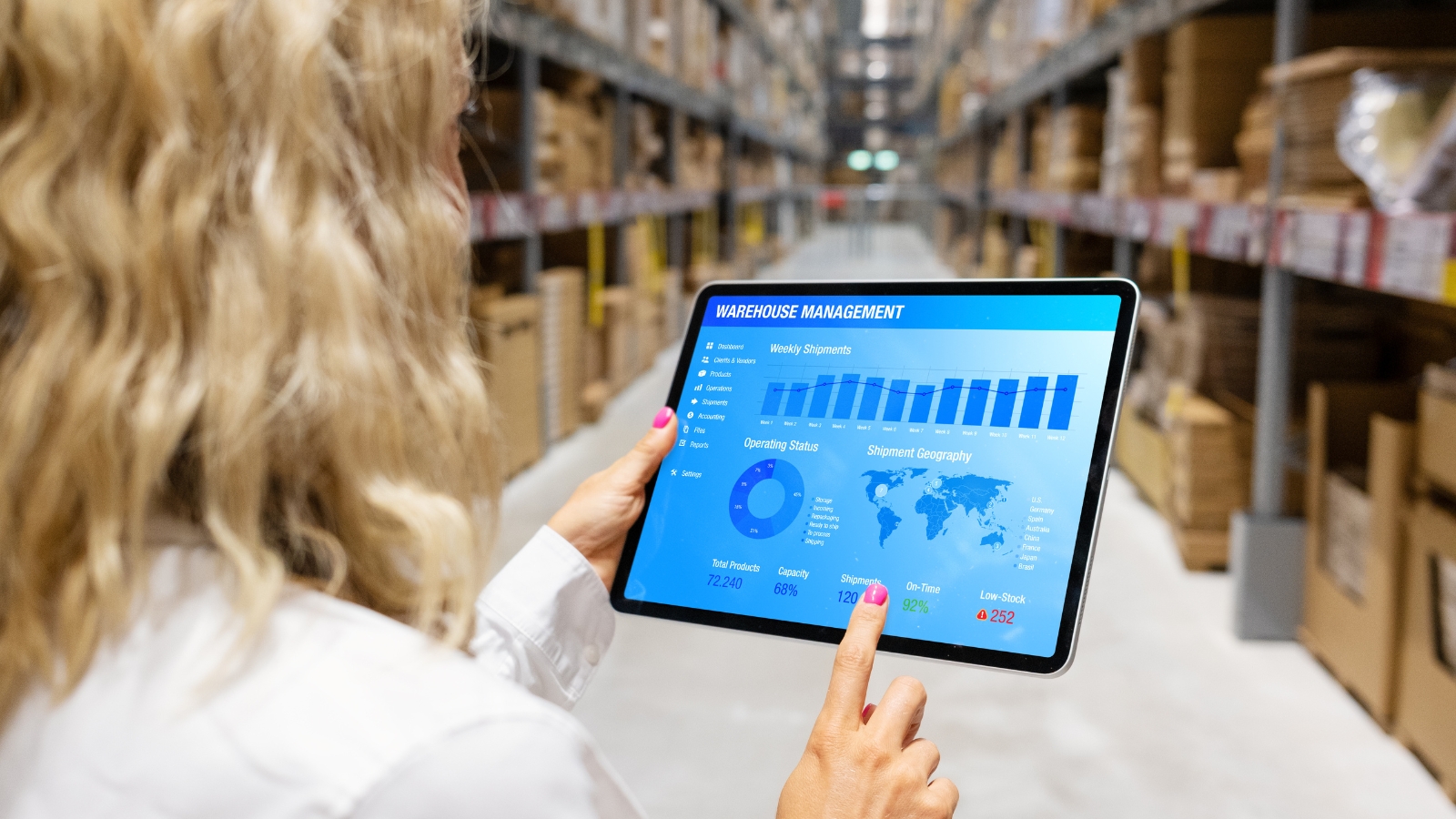 Types of Warehousing Integration - Cerexio